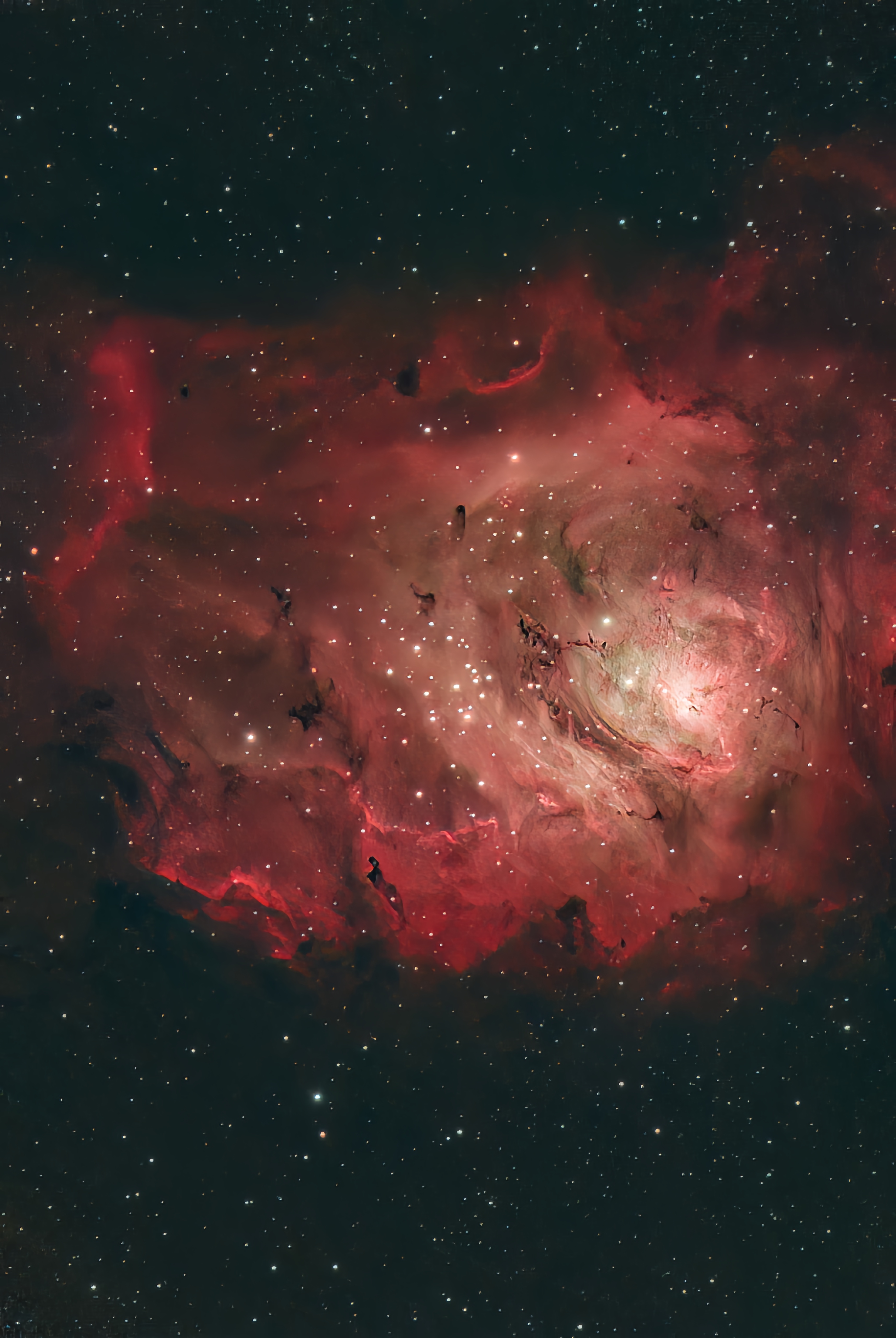 焦糊焦糊，又焦又糊😂