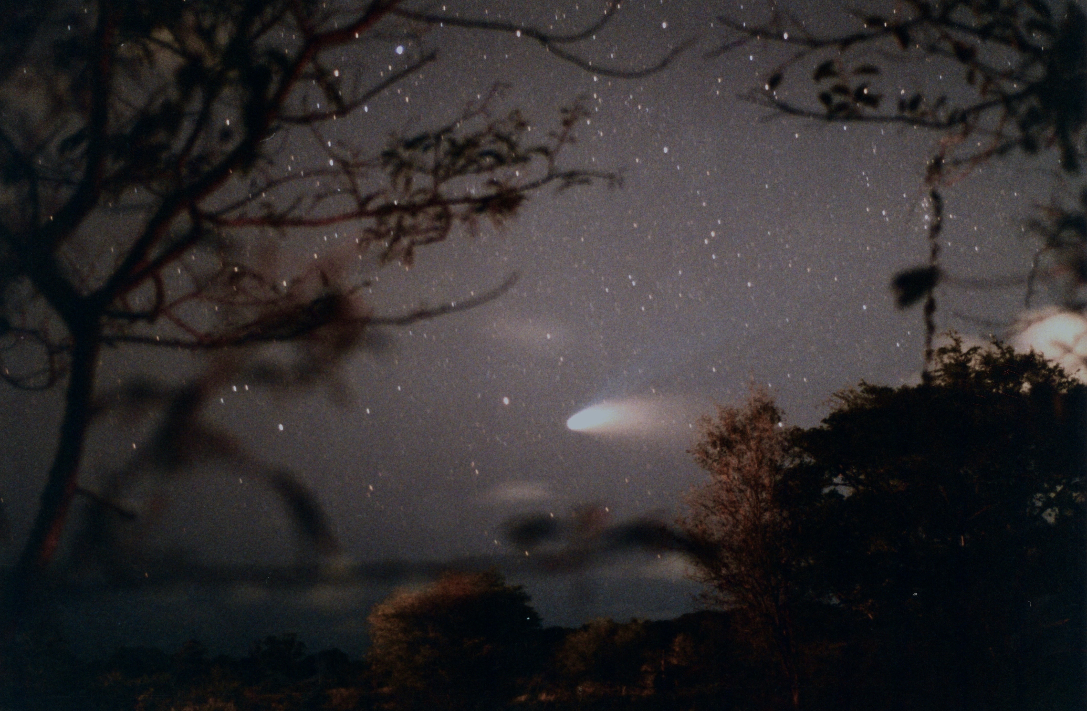 Comet Halle-Bopp at its best on April 16 1997 at Cabo Rojo Puerto Rico ...