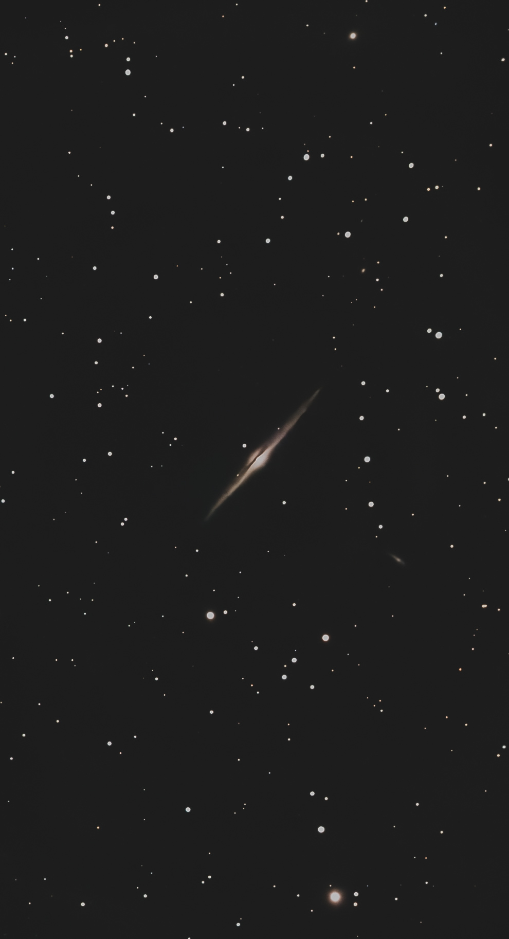 NGC 4565