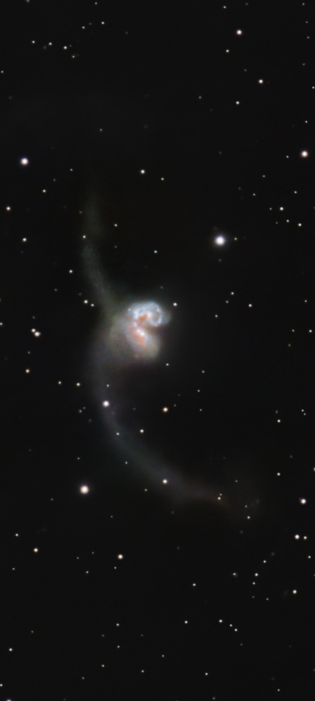 NGC 4038 and NGC 4039. The antenna galaxies. Two interacting galaxies ...