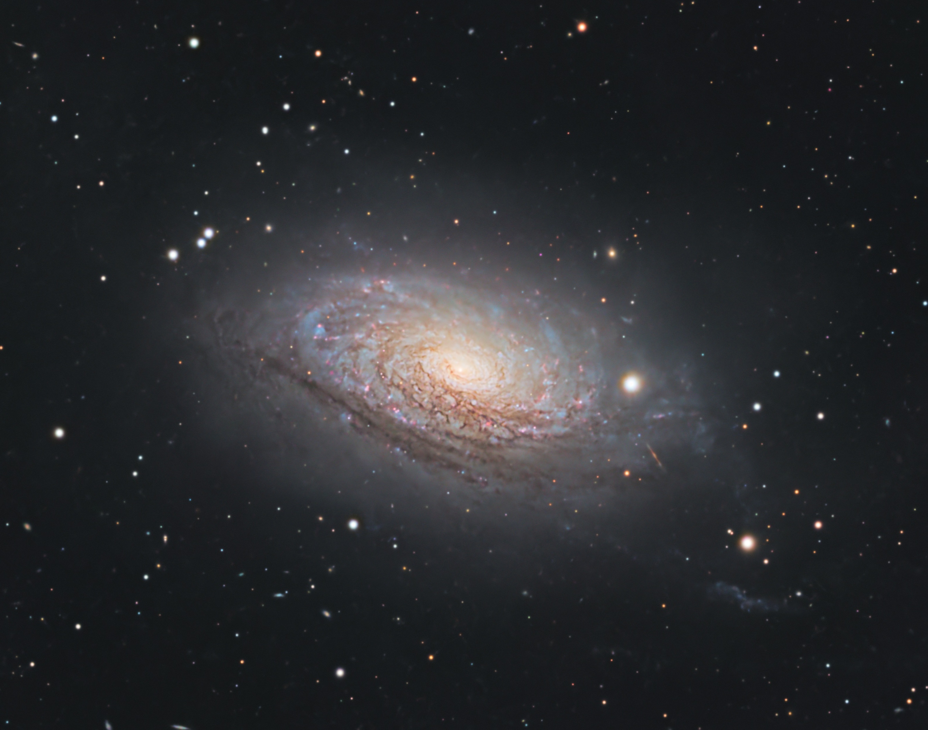 M63 2.5hrs
