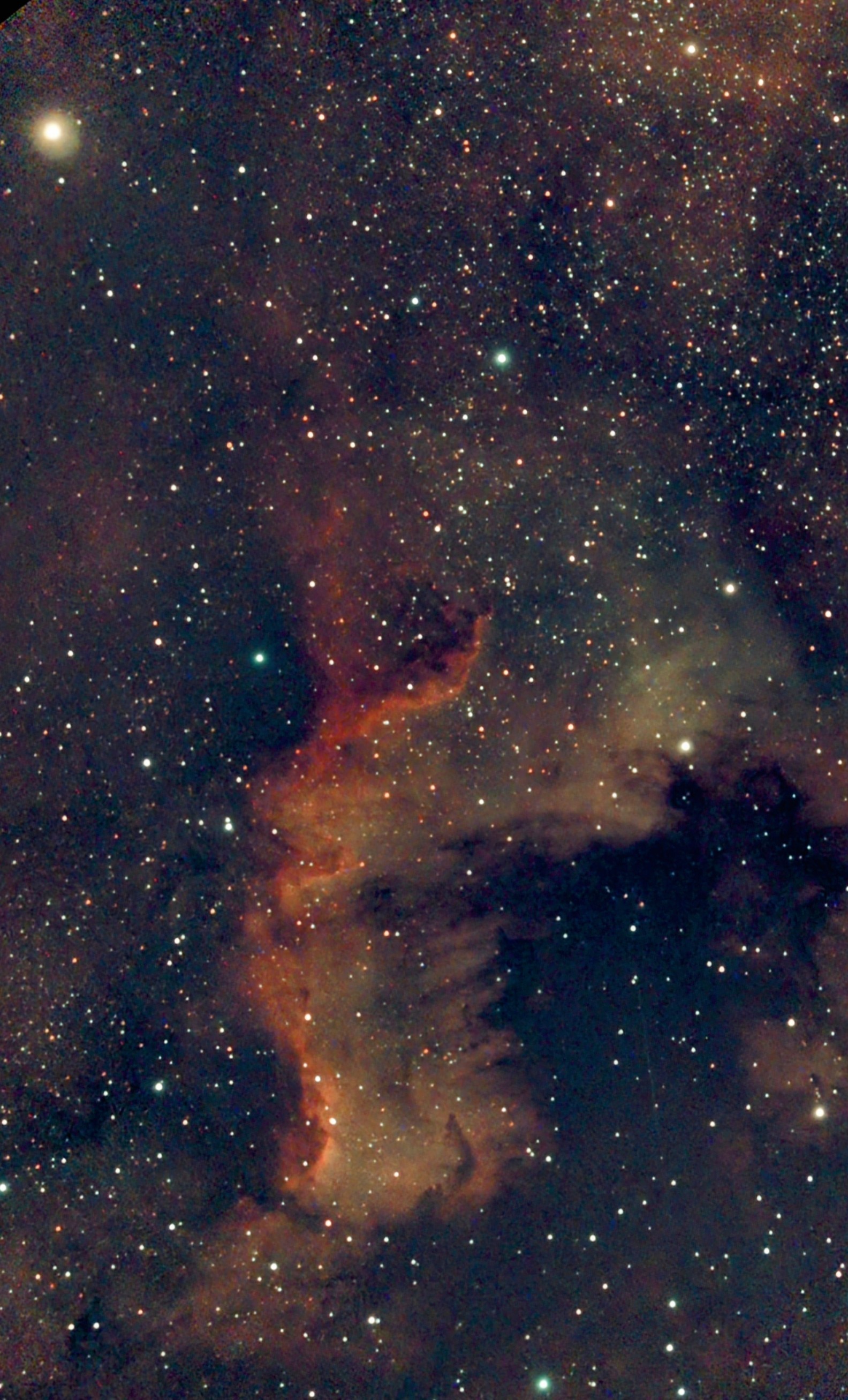North America nebula mosaic, Bortle 3, Equatorial a 20 sec, 40 min