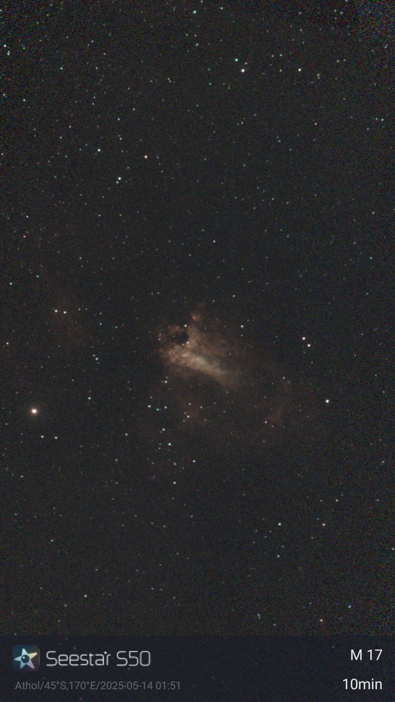 swañ .is it taster than Turkey??