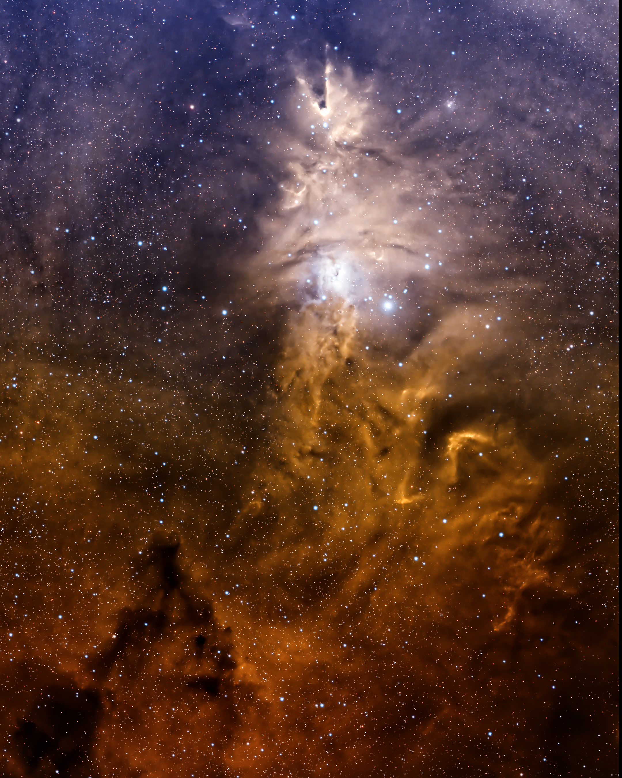 The Christmas Tree Cluster and Cone Nebula NGC 2264 is an H II region ...