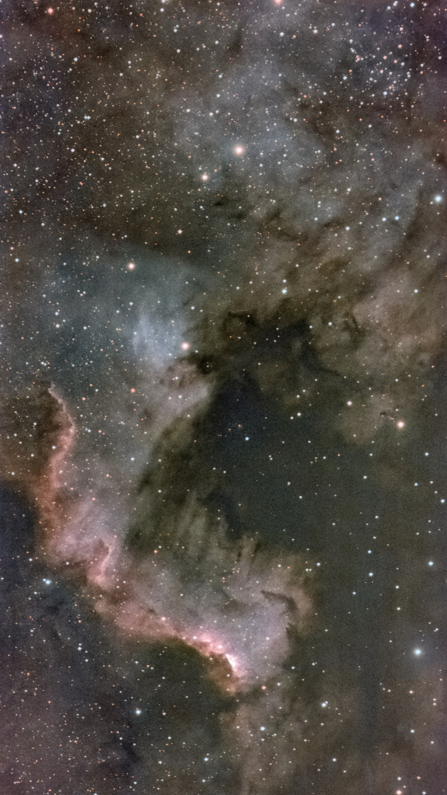 NGC 7000 post processed