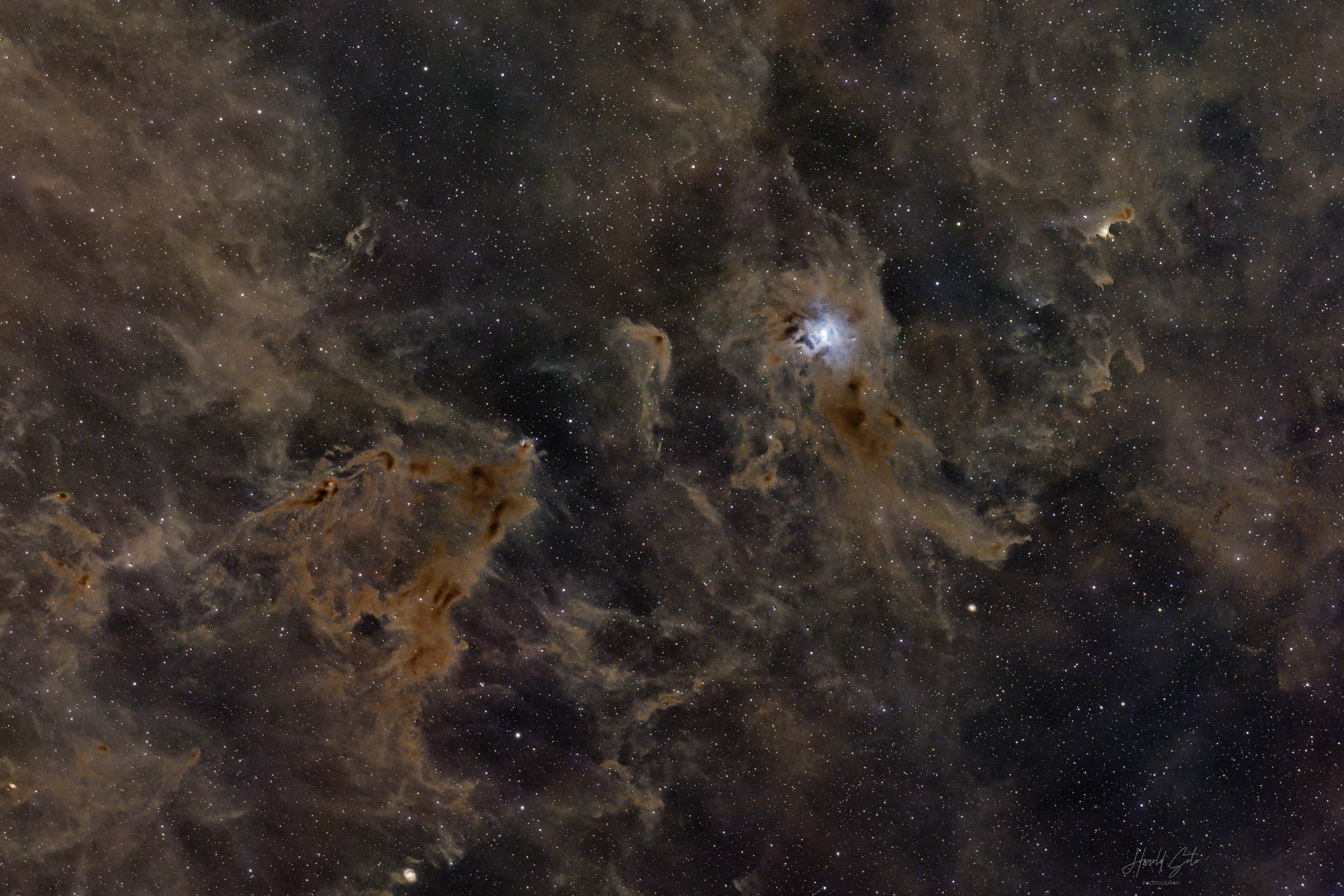 Caldwell 4 Iris Nebula Complex