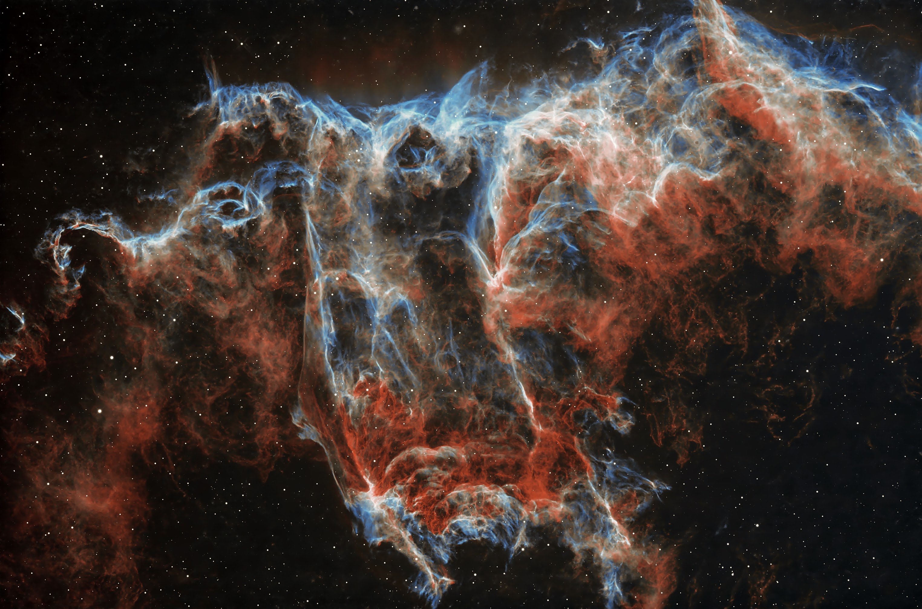 Bat Nebula NGC6995