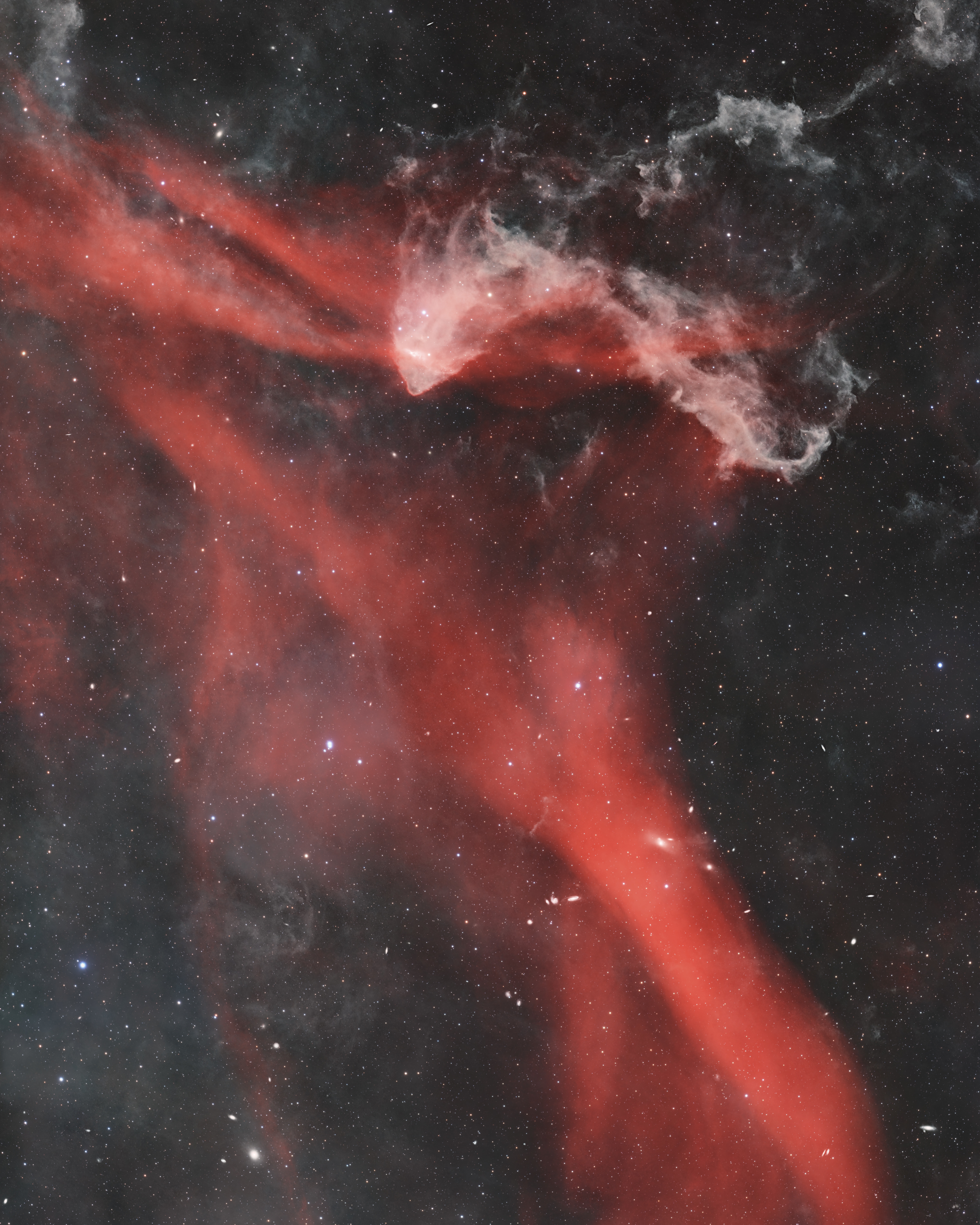 The Gecko Nebula