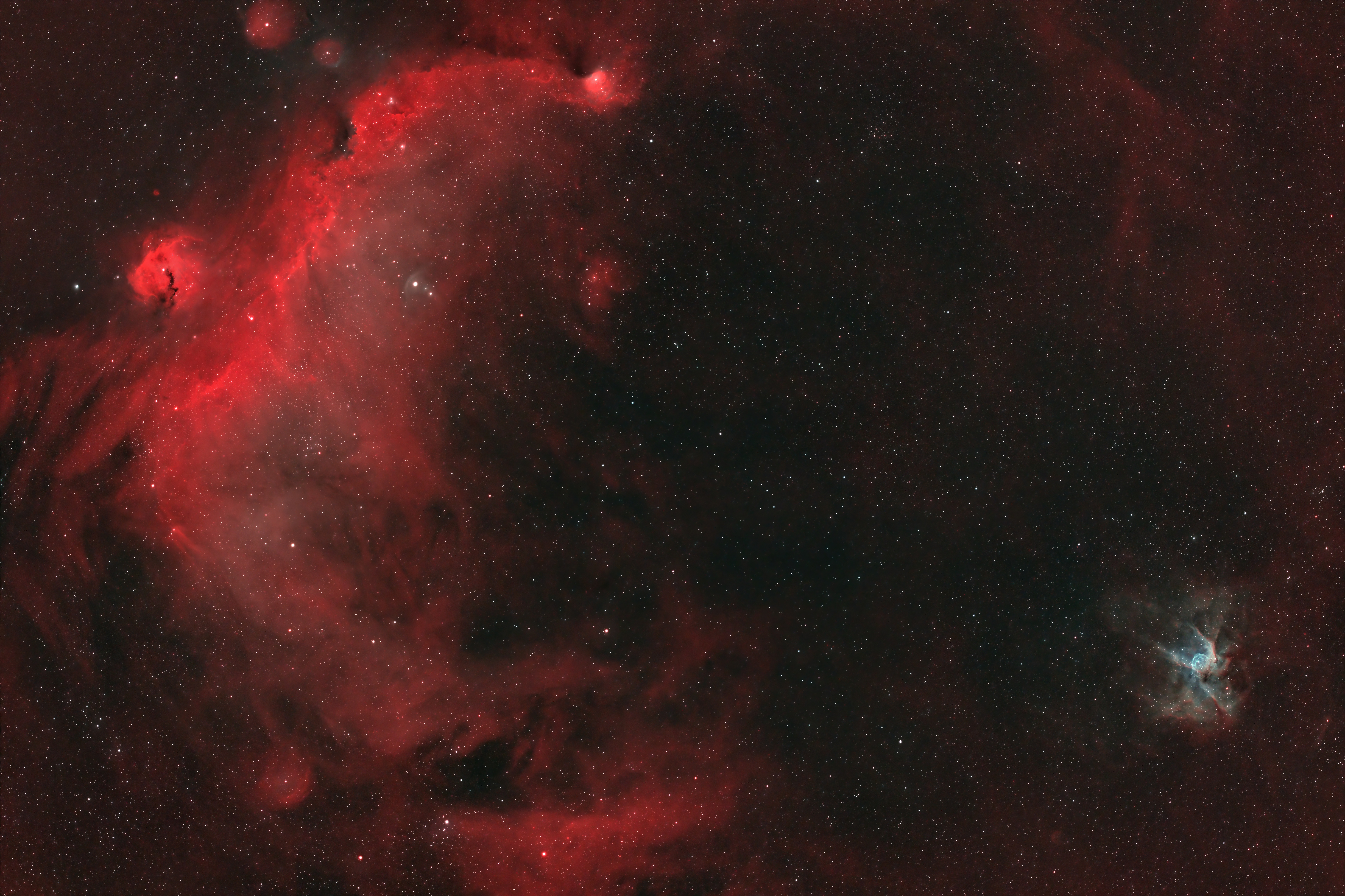 Seagull Nebula (IC 2177) and Thor's Helmet (NGC 2359). The Seagull ...
