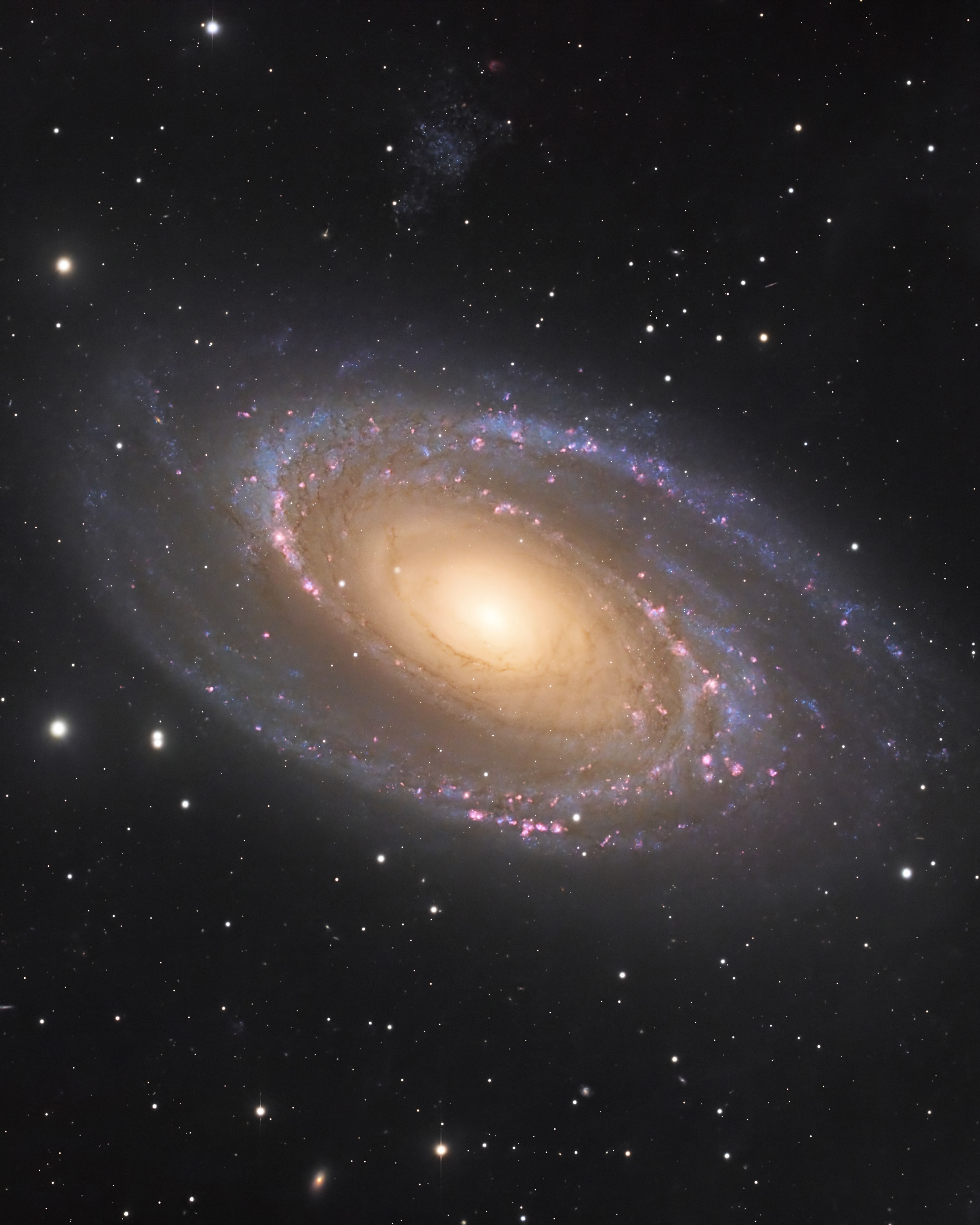 Bode’s Galaxy 9h OSC / 4.5h L / 5.5h Ha